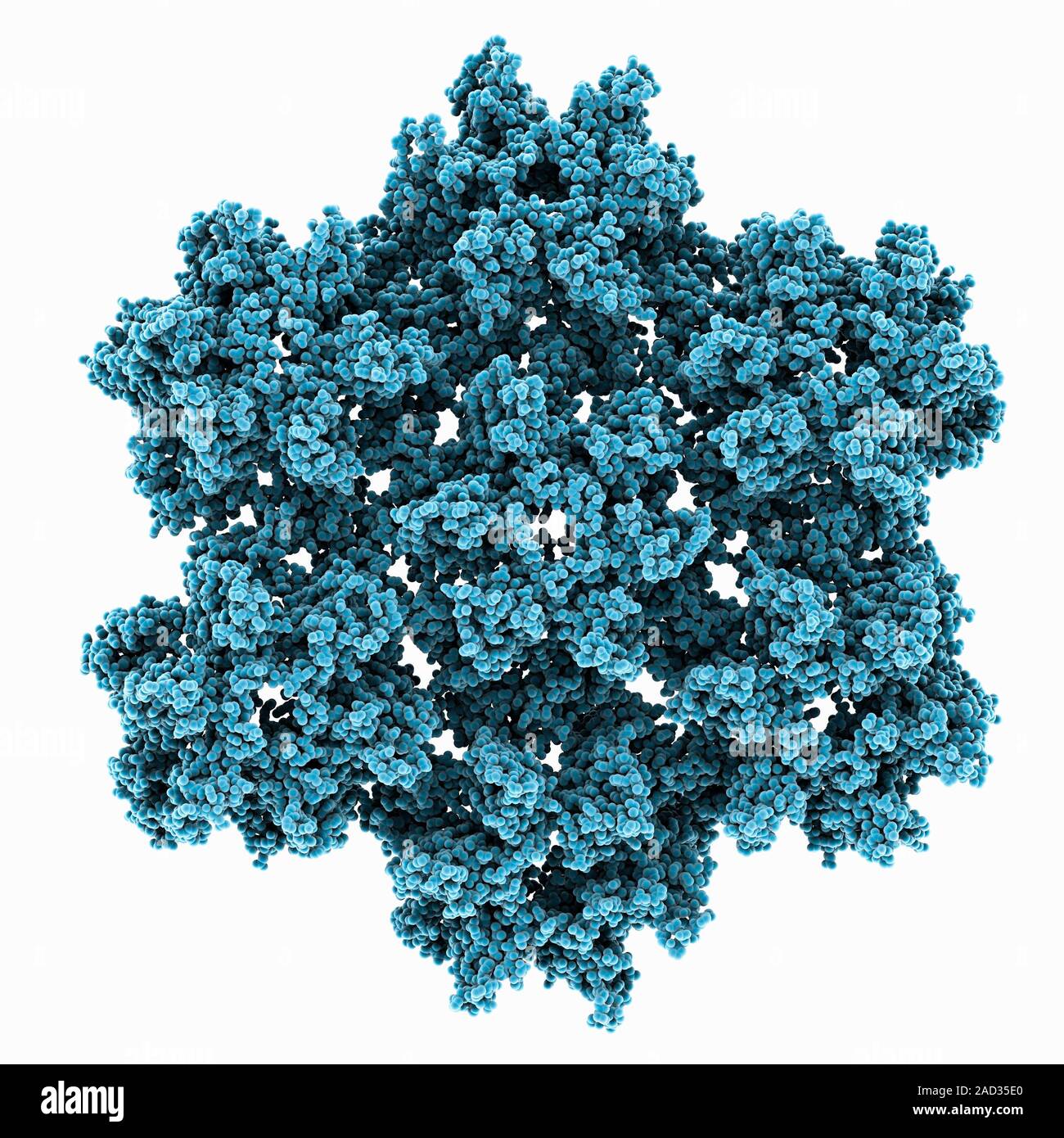 HIV-1 capsid structure. Molecular model of an human immunodeficiency virus type 1 (HIV-1) capsid ...