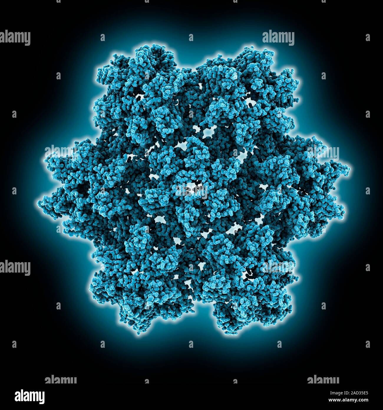HIV-1 capsid structure. Molecular model of an human immunodeficiency virus type 1 (HIV-1) capsid ...