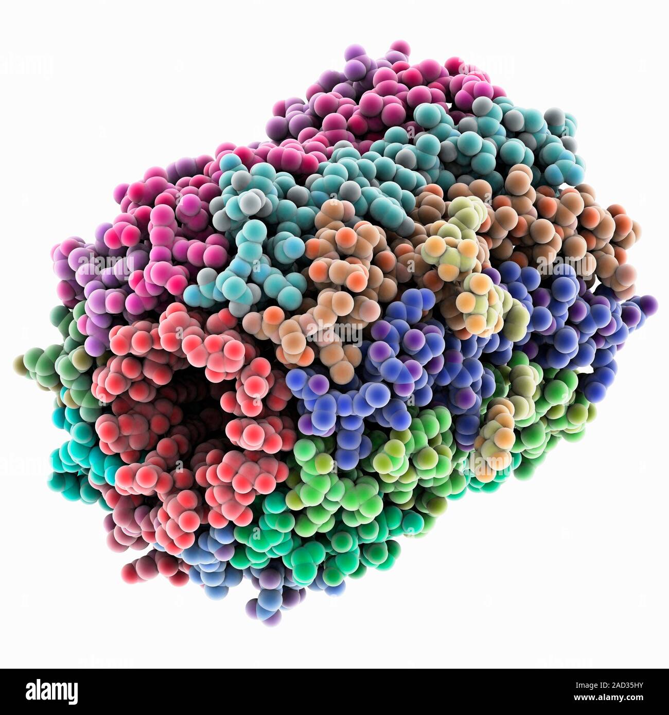 ATP synthase rotor ring. Molecular model showing the rotor ring ...