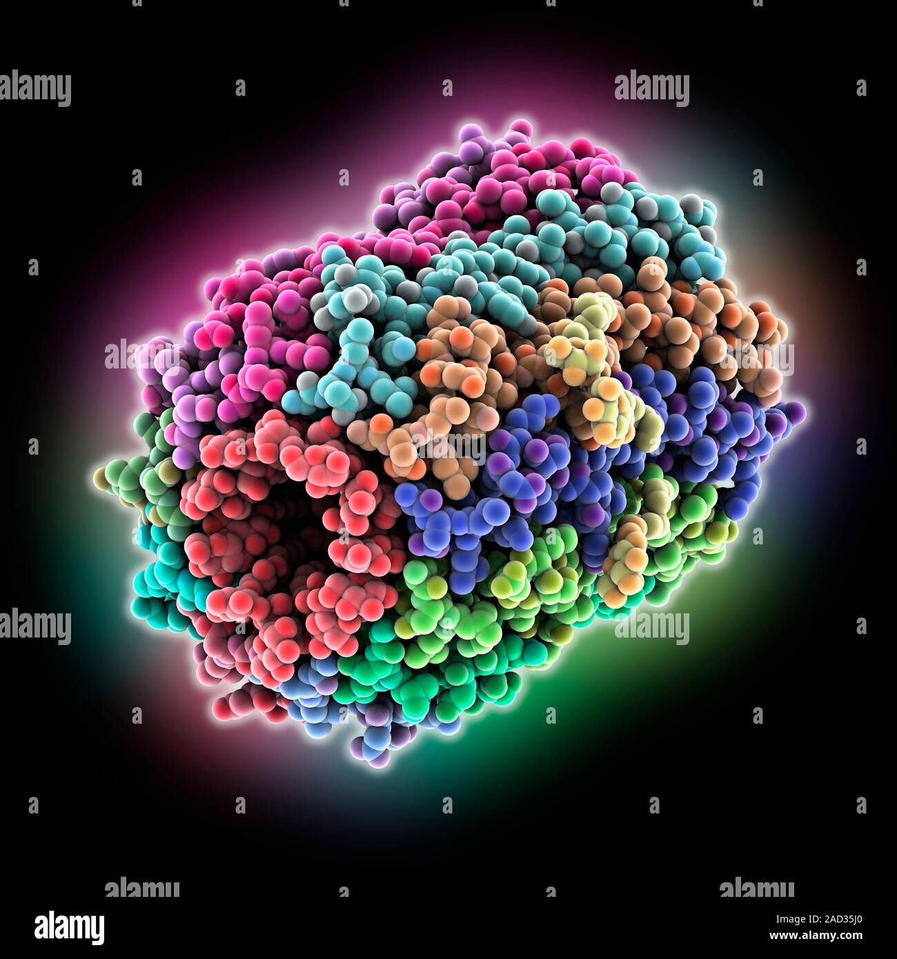ATP synthase rotor ring. Molecular model showing the rotor ring ...