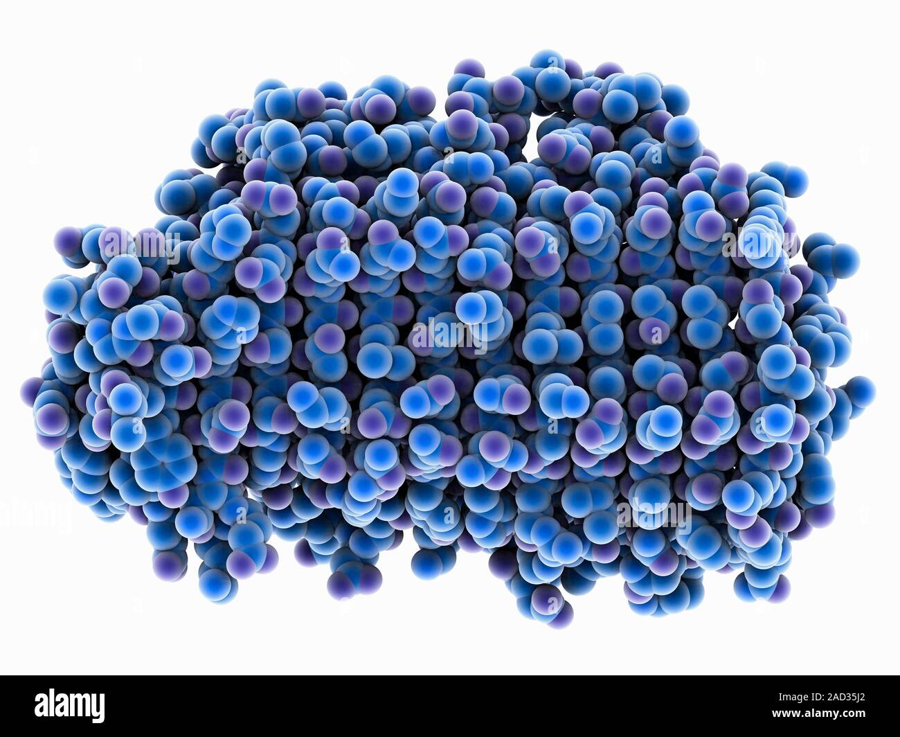 Streptococcus Bacterial Surface Protein Molecular Model Of A Surface Protein From The Bacterium