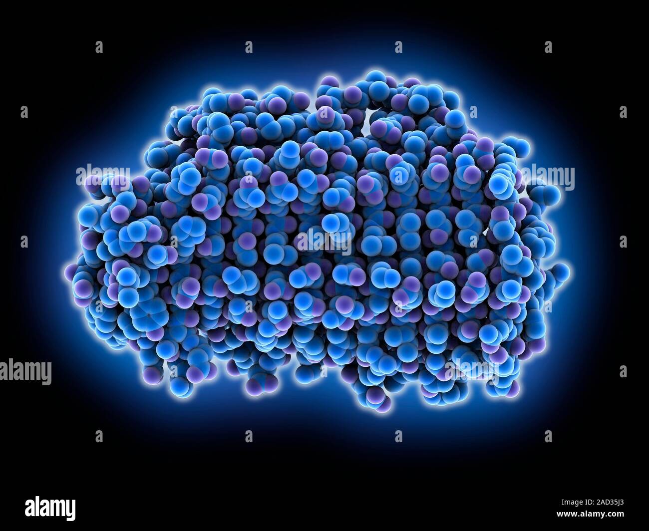 Streptococcus bacterial surface protein. Molecular model of a surface ...