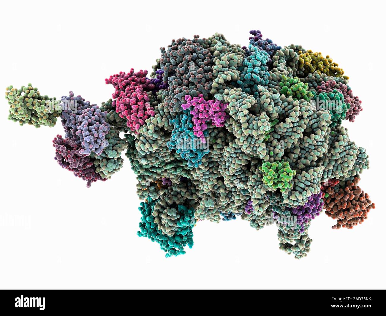Archaeon ribosome subunit. Molecular model of a large (50S) ribosomal ...
