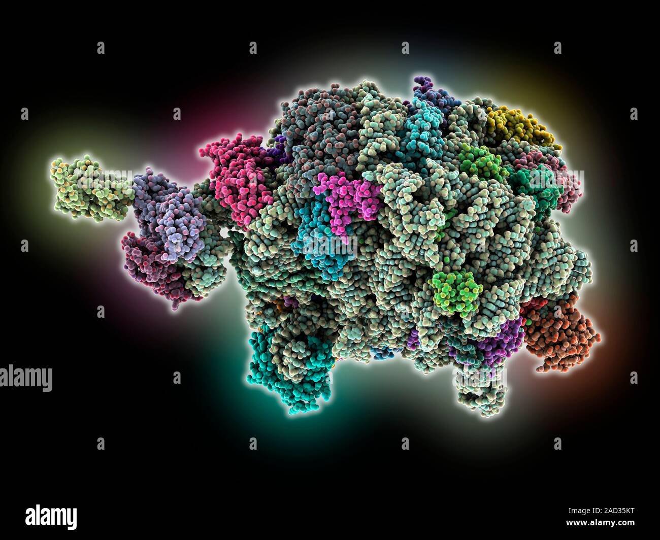 Archaeon ribosome subunit. Molecular model of a large (50S) ribosomal ...