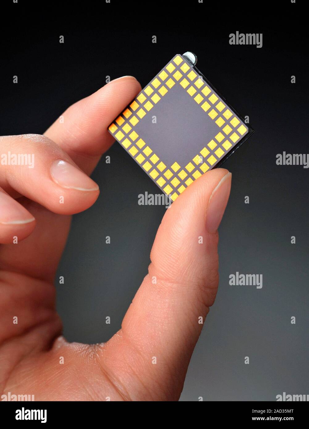 Gene sequencing chip. Close-up of a person holding a gene sequencing ...