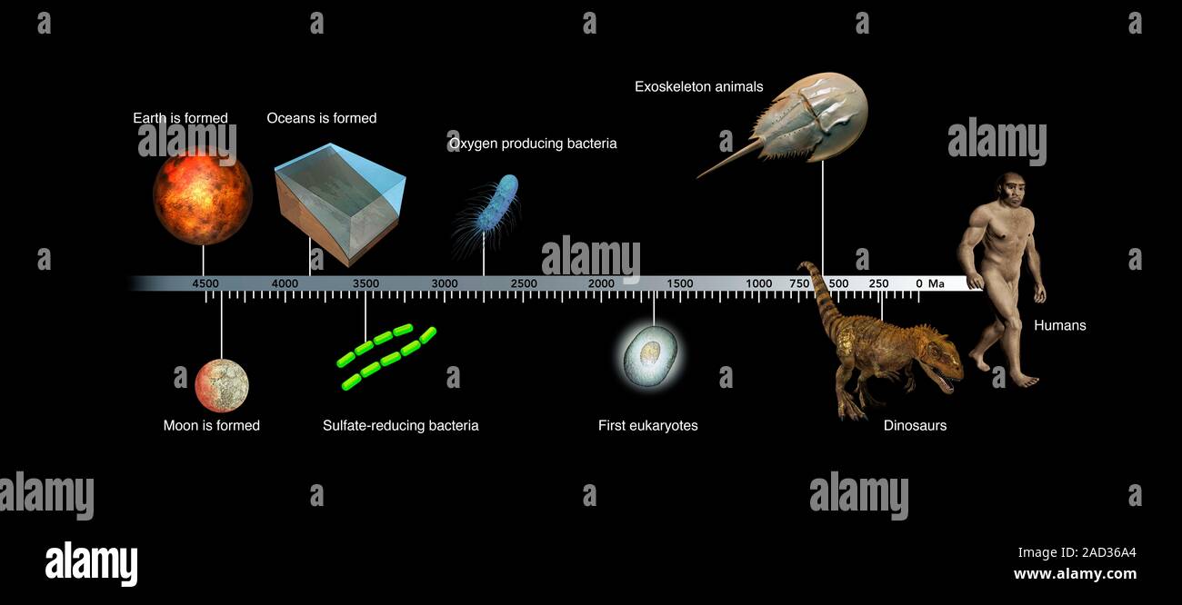 Evolution of Earth timeline. Computer illustration of a timeline ...