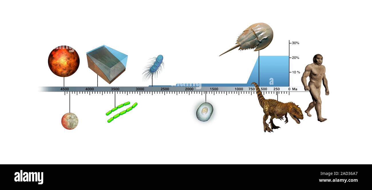 Evolution of Earth timeline. Computer illustration of a timeline ...
