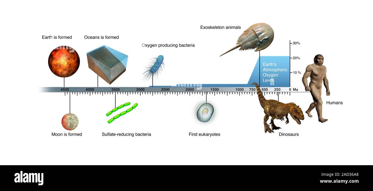 Evolution of Earth timeline. Computer illustration of a timeline ...
