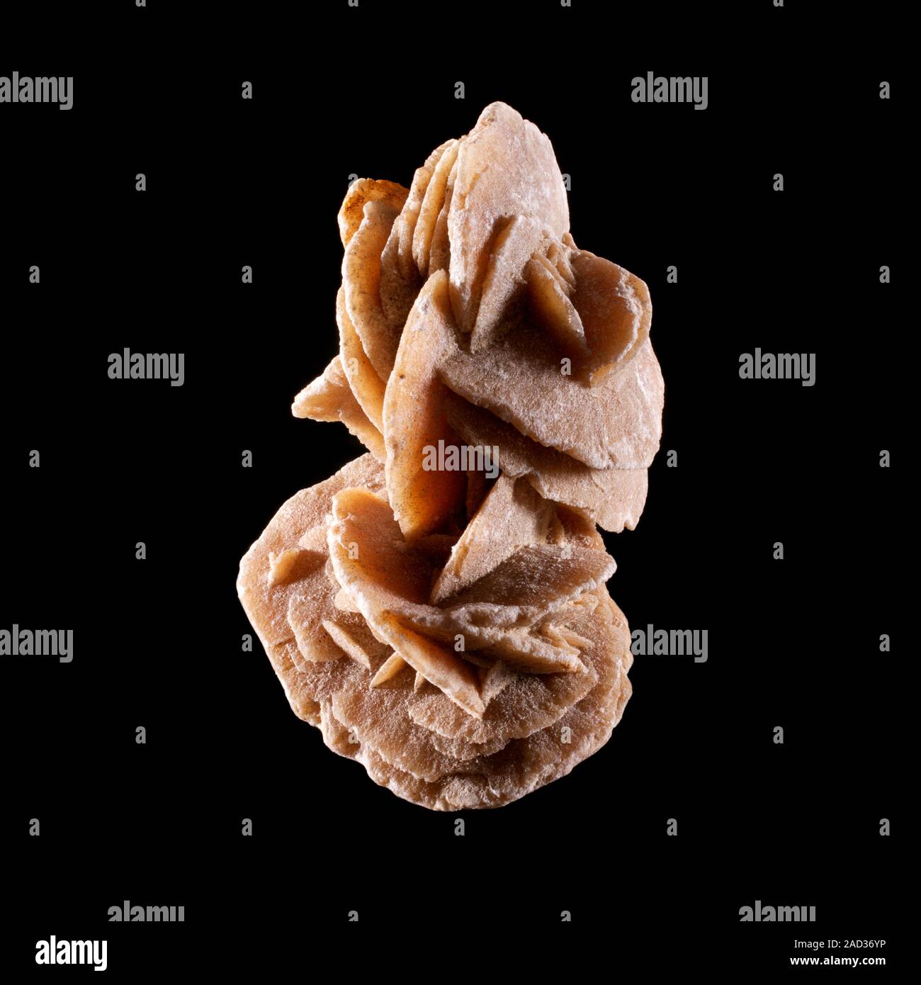 Desert rose. This is he colloquial name given to rose-like formations ...