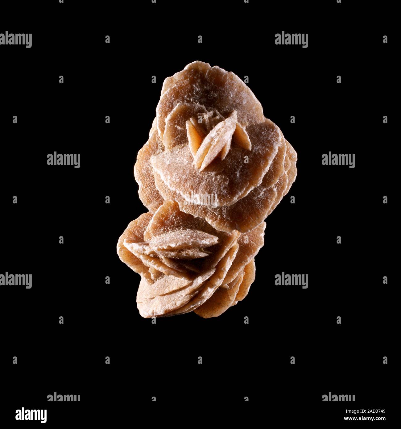 Desert rose. This is he colloquial name given to rose-like formations ...