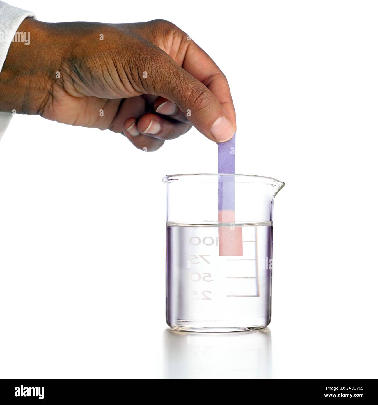 Litmus paper being dipped into an alkaline solution. Litmus paper is ...