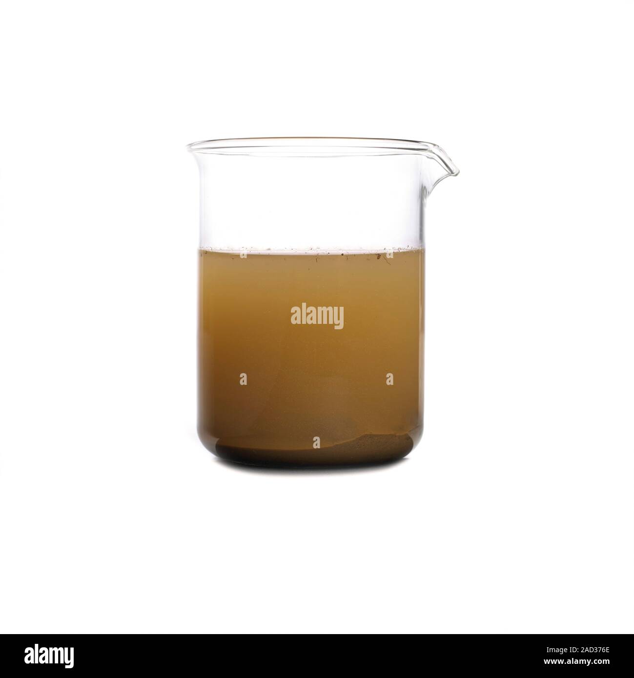 Soil settling out of water. Soil is mixed thoroughly in a beaker of ...