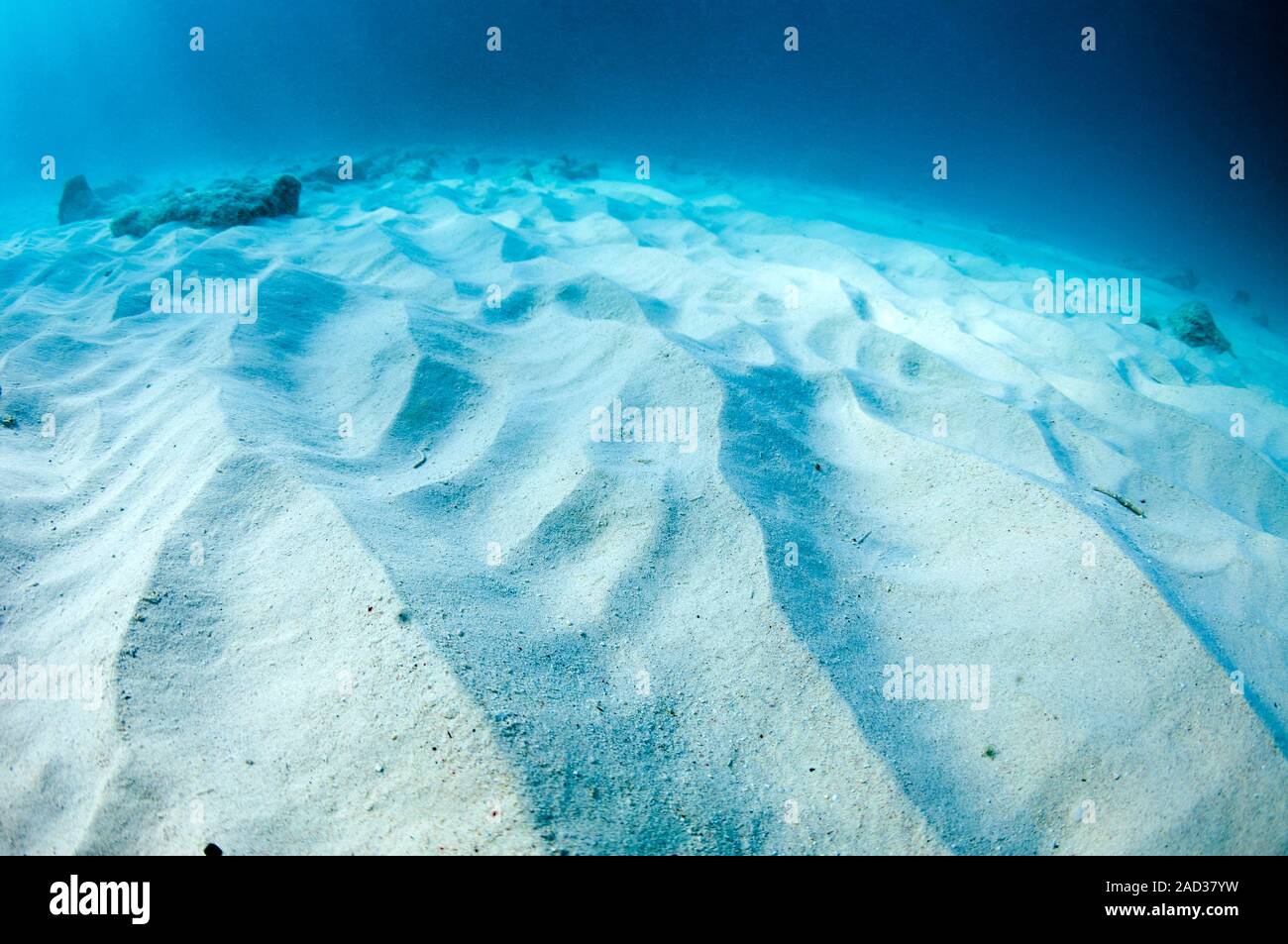 Wave patterns on sandy sea bed. Close-up of patterns formed in sand by ...