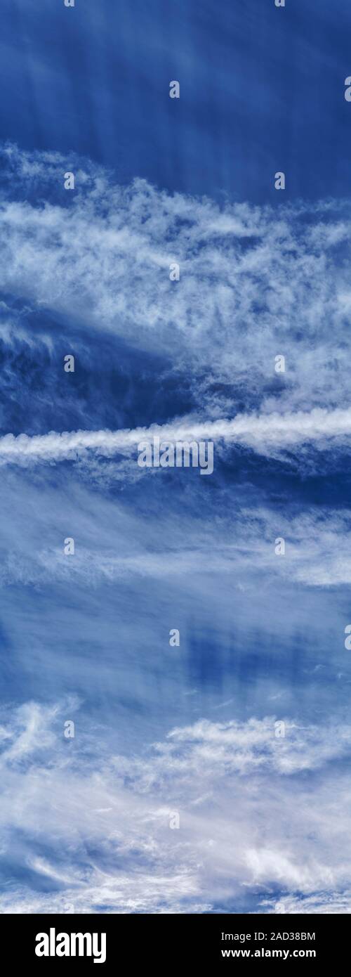 Cirrus clouds and contrails. Vertical panorama of high cirrus clouds in ...