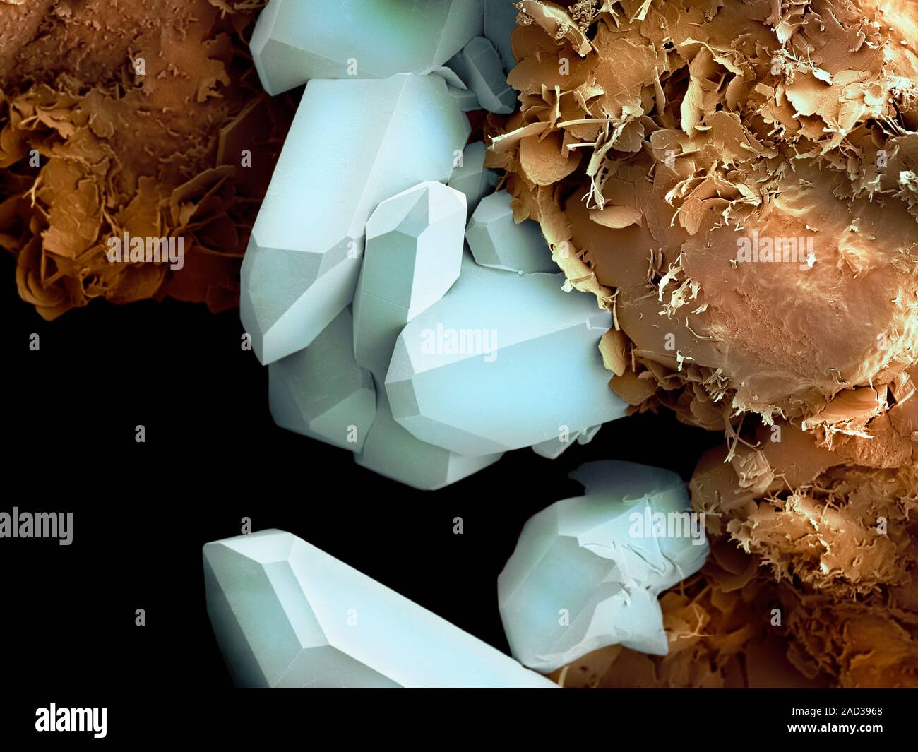 Quartz crystals, coloured scanning electron micrograph (SEM). This ...