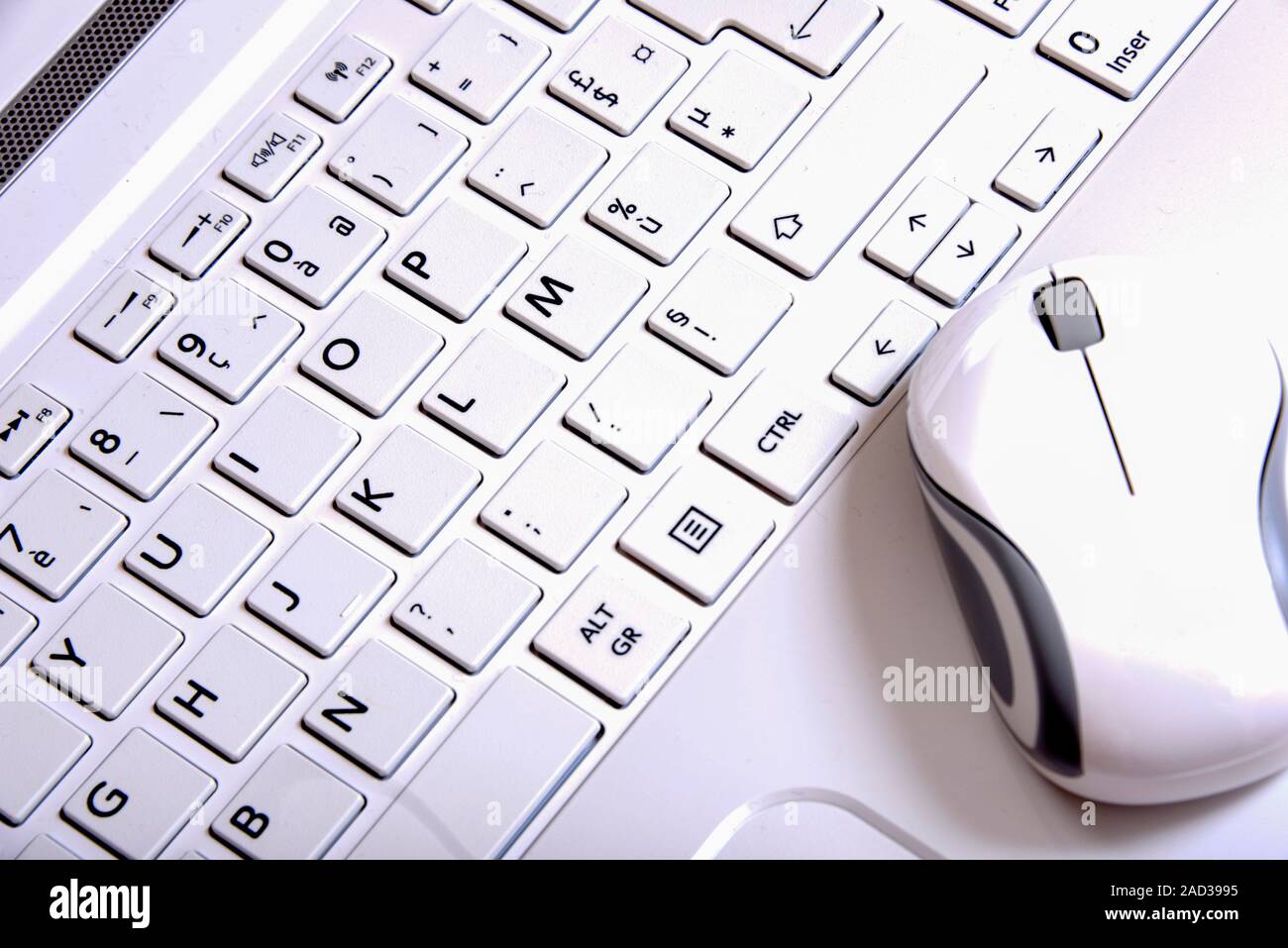 Computer keyboard and mouse. The keyboard includes diacritics used in ...