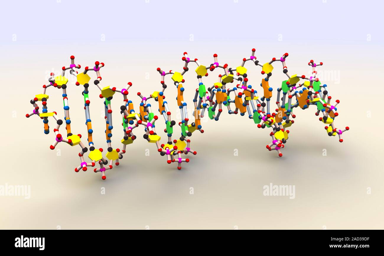 This image may not be used in educational posters DNA molecule ...