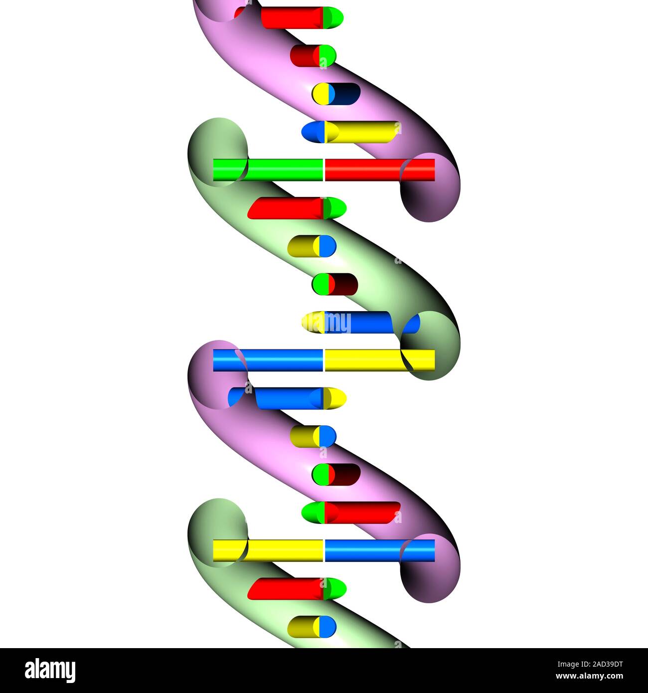 This image may not be used in educational posters DNA molecule ...
