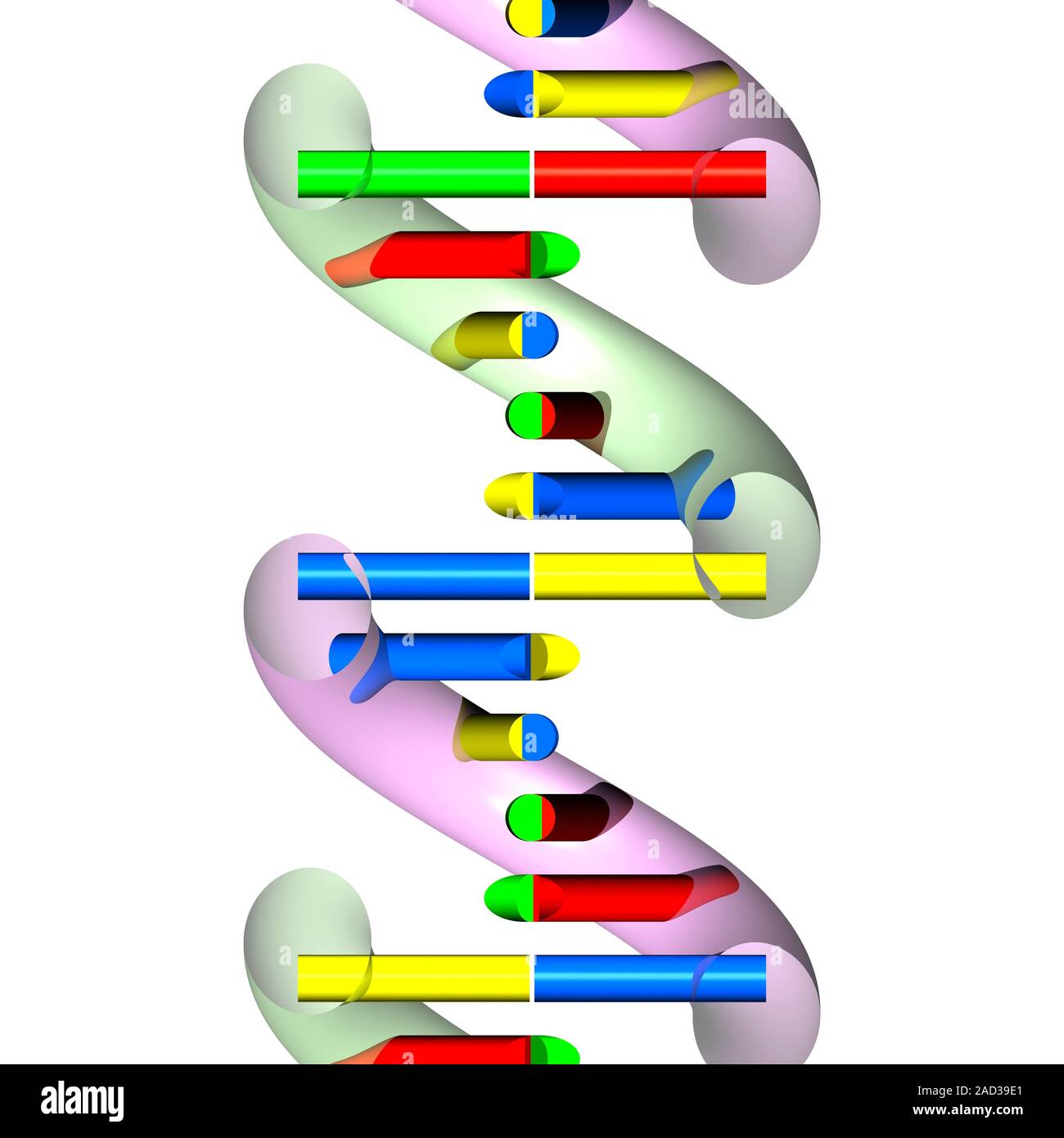 This image may not be used in educational posters DNA molecule ...