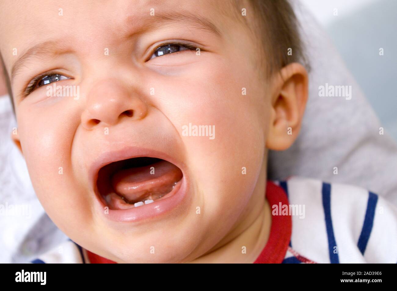 Baby boy crying. He is 13 months old Stock Photo - Alamy