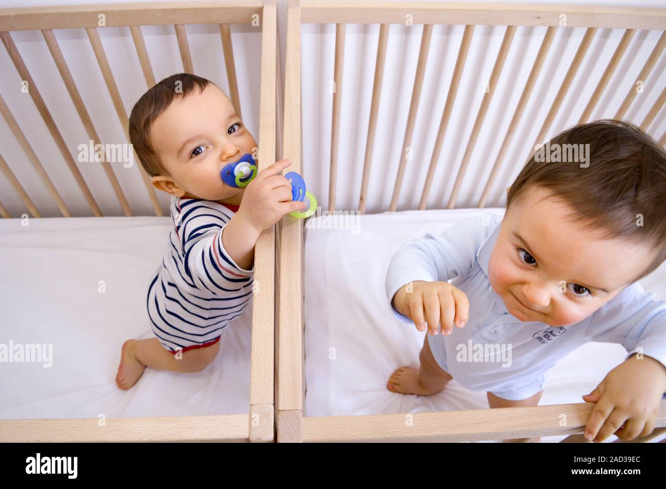Twin baby boys in their cots. 13-month-old twin baby brothers playing ...