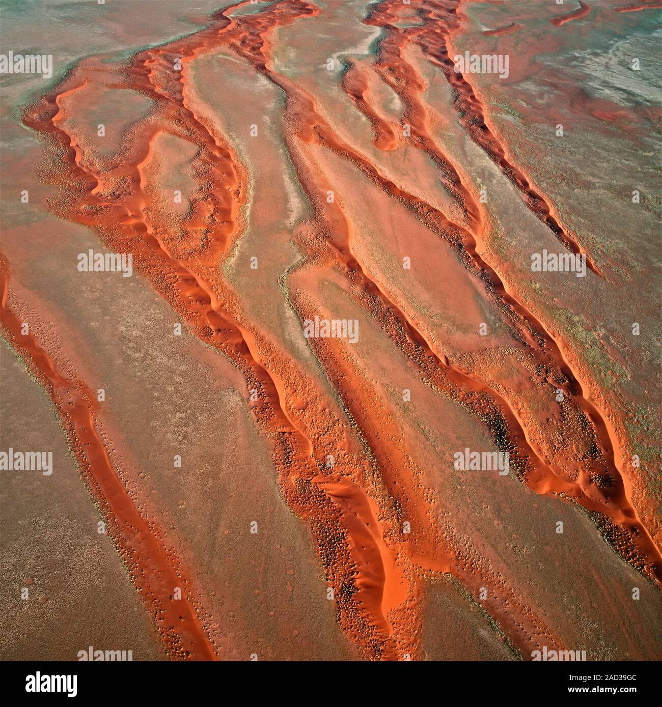 Aerial photograph of Sand dunes, Namib desert, Namibia. It rains only ...