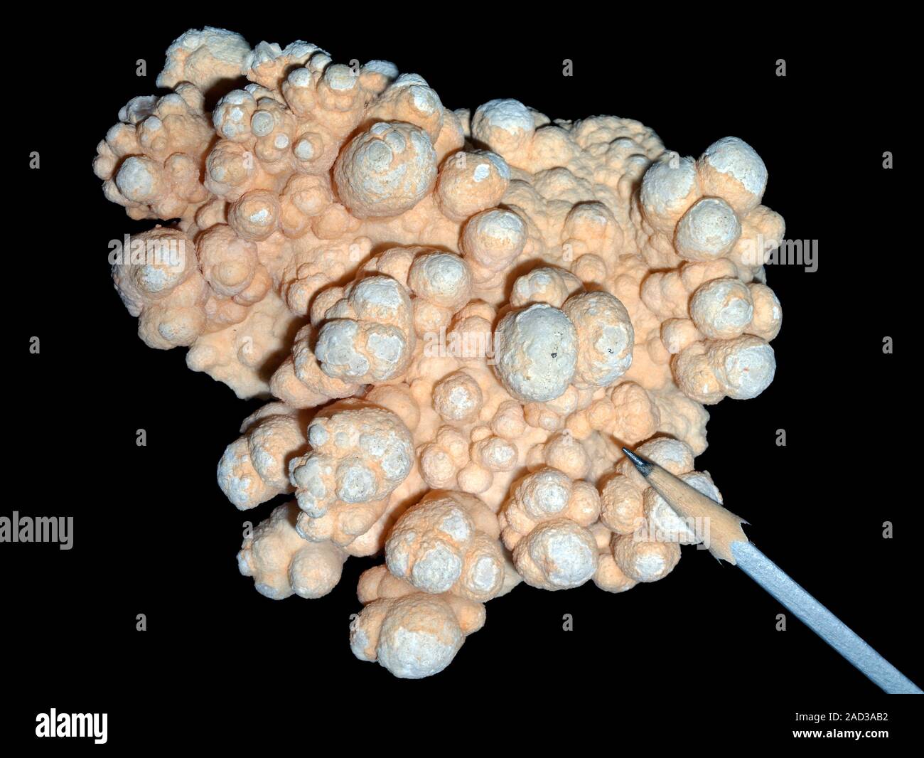 Calcite (CaCO3) has precipitated from a watery solution in cavities or ...