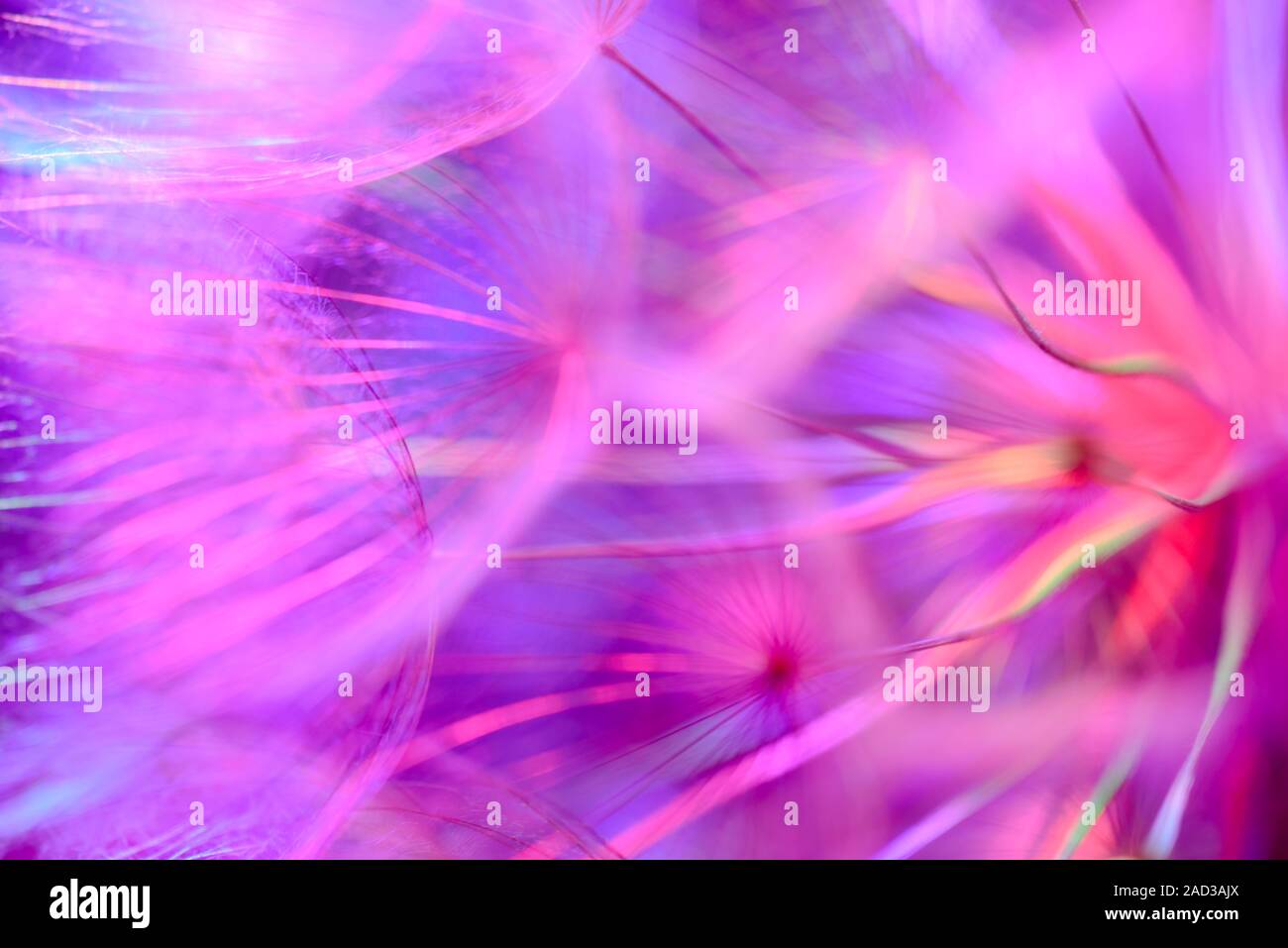 Colorful Pastel Background - vivid abstract dandelion flower Stock ... Colorful Pastel Background - vivid abstract dandelion flower Stock ...