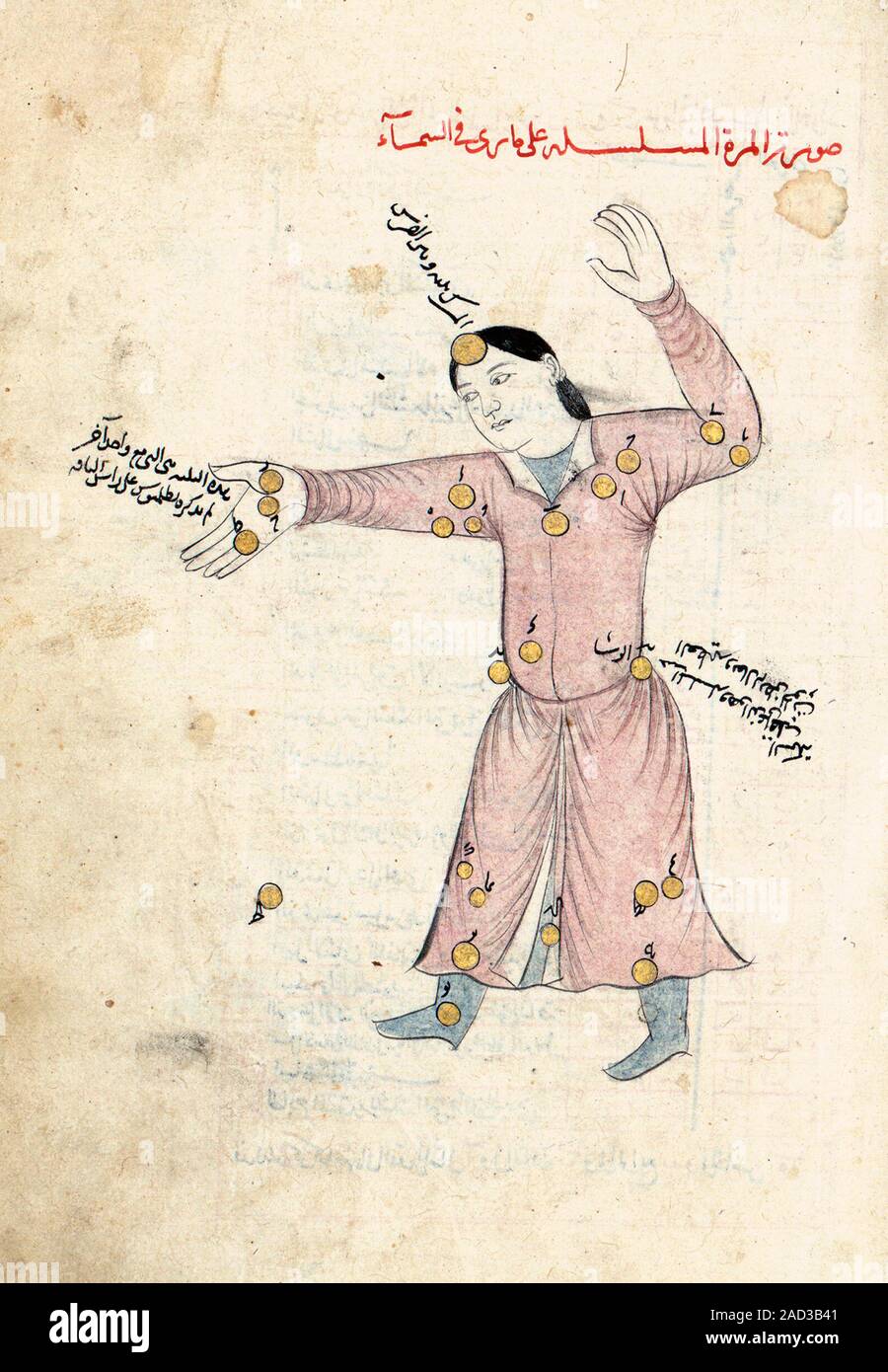 Andromeda constellation. 13th-century Islamic manuscript illustration ...
