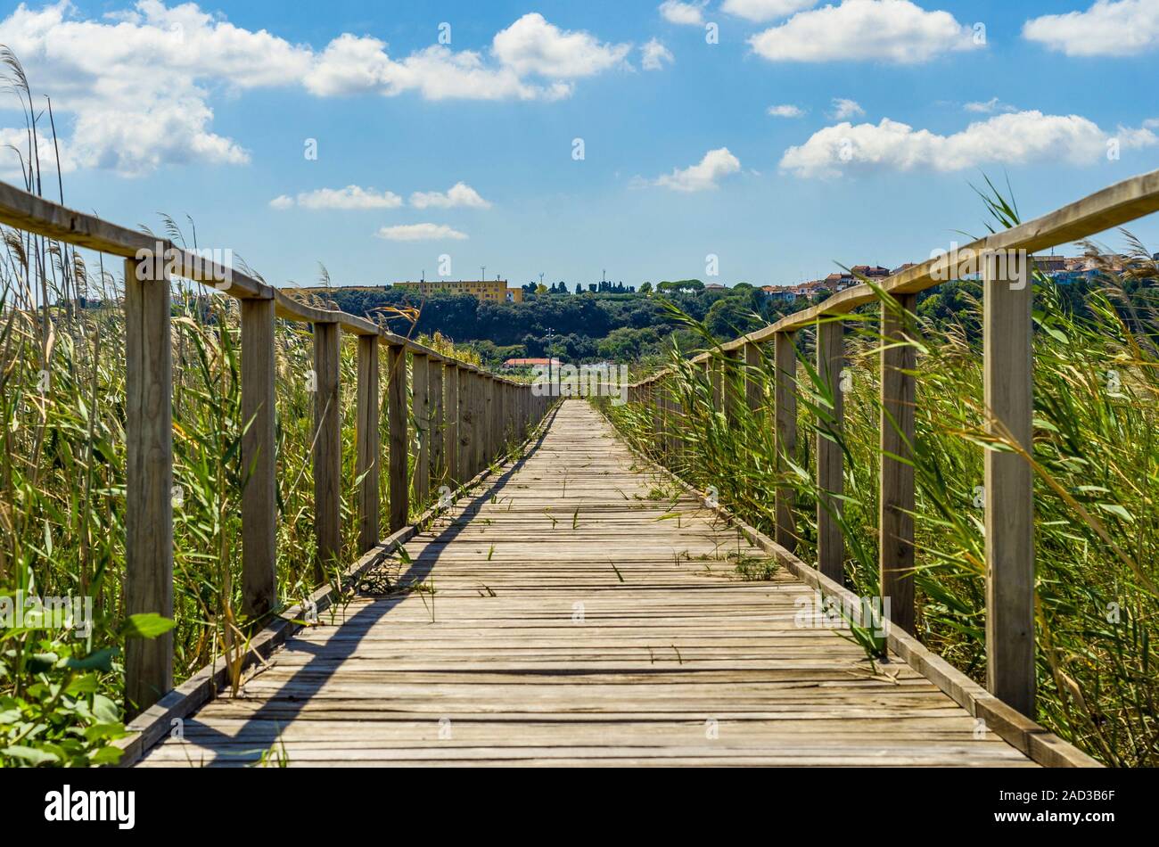 Wooden walkway immersed in the green of the countryside Stock Photo - Alamy