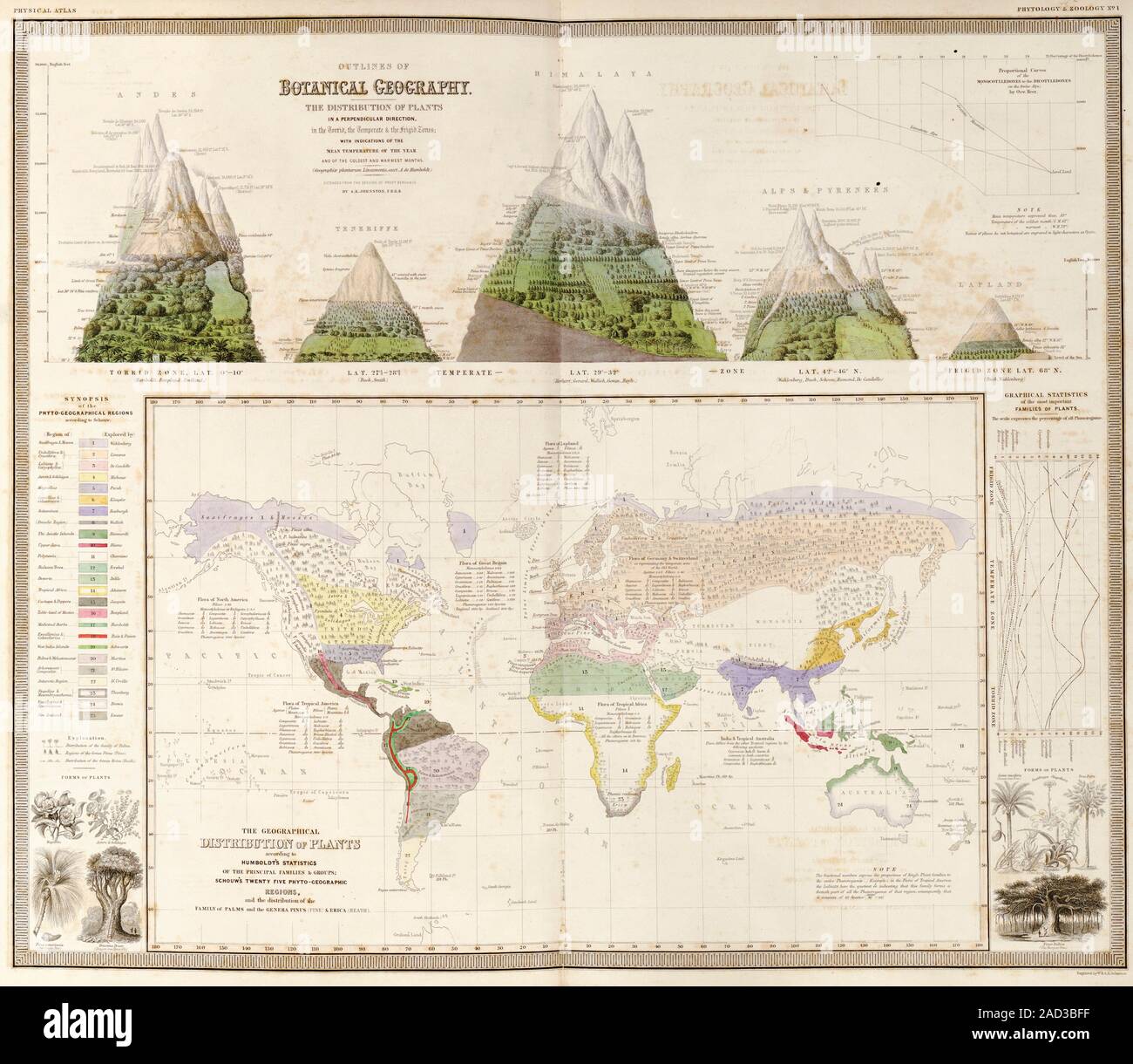 Global botanical geography. 19th-century botanical maps and ...