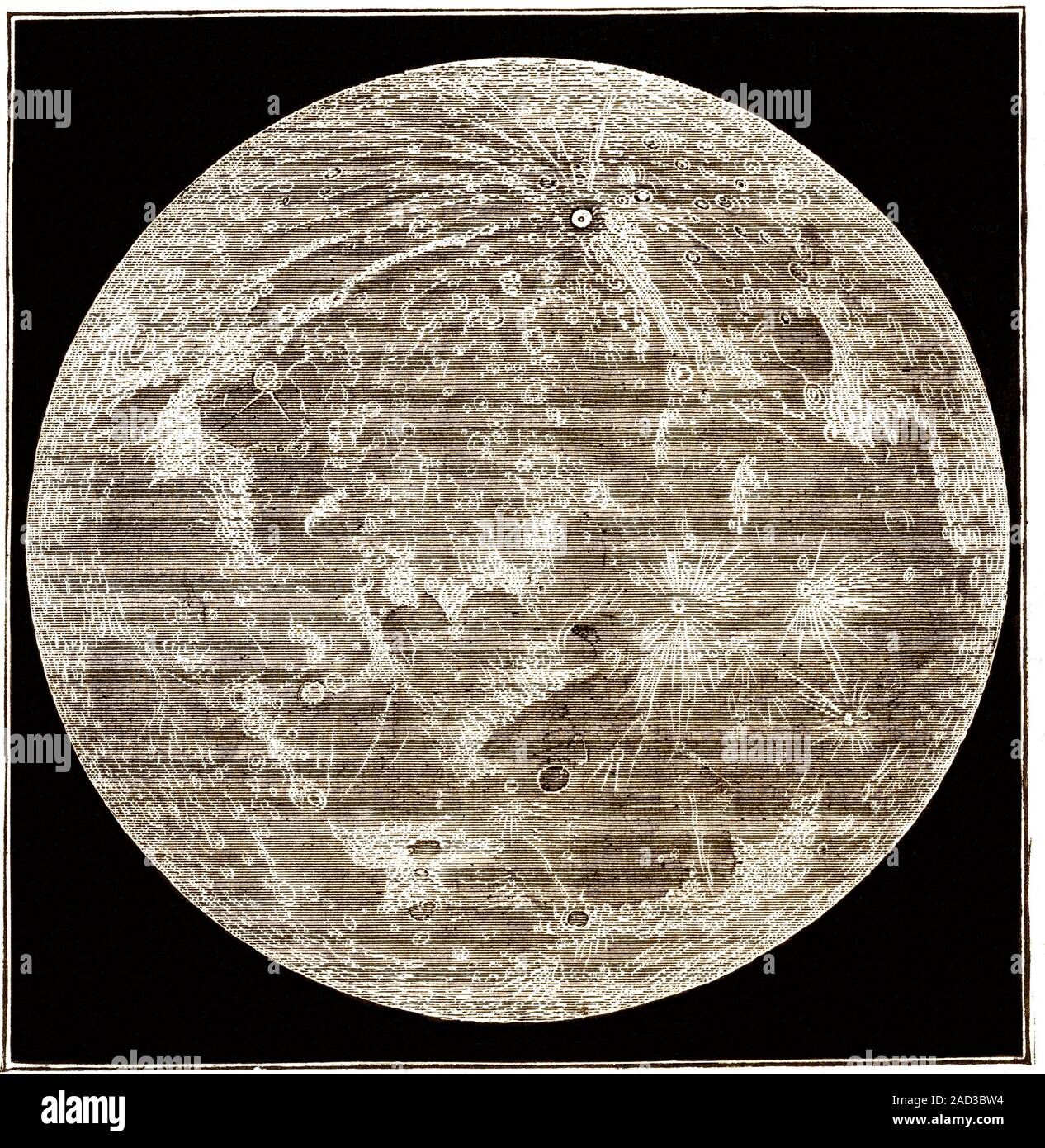 Nineteenth century drawing of the full moon from a photograph made by ...