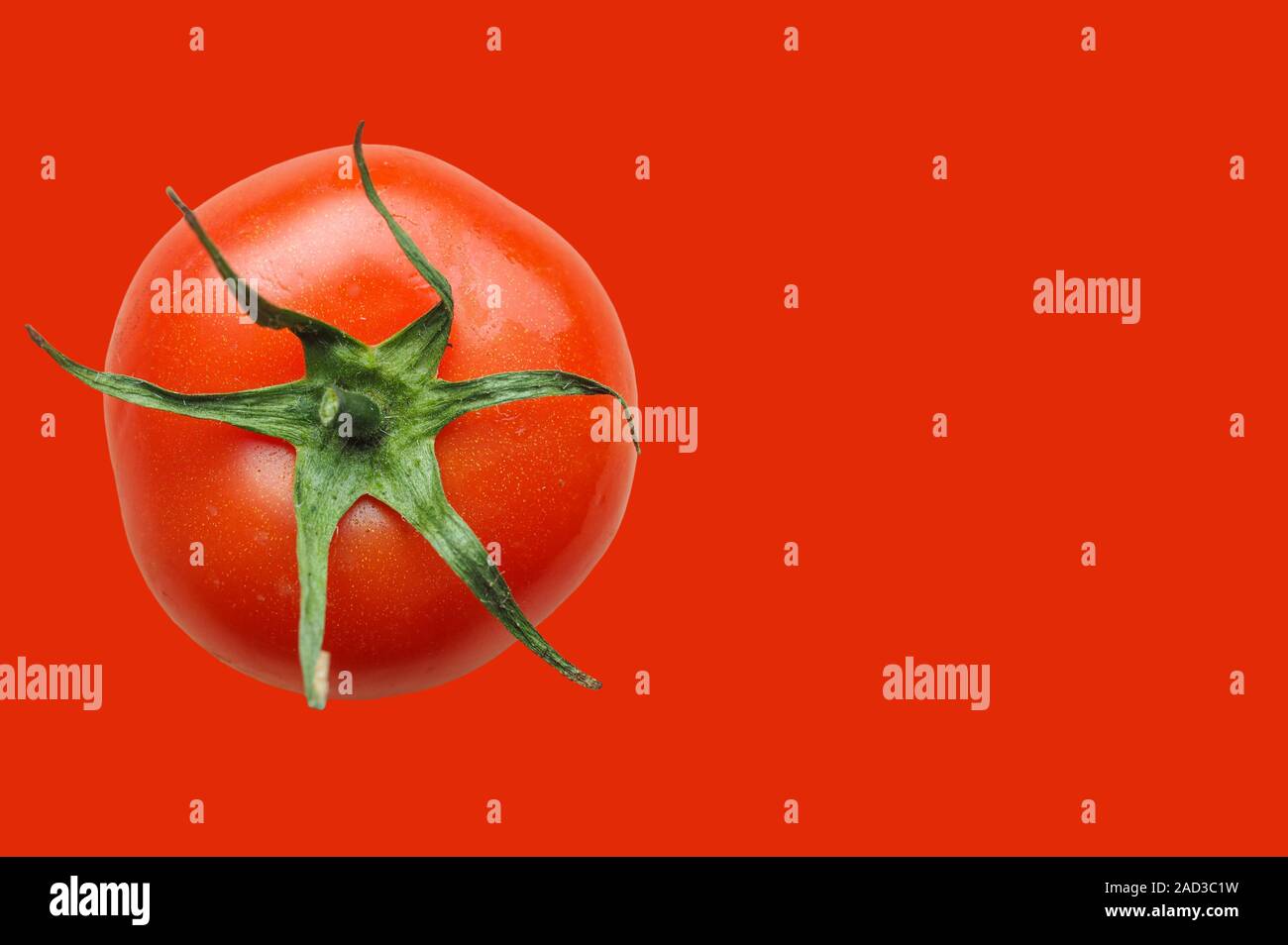 Red tomato vegetable over red Stock Photo - Alamy