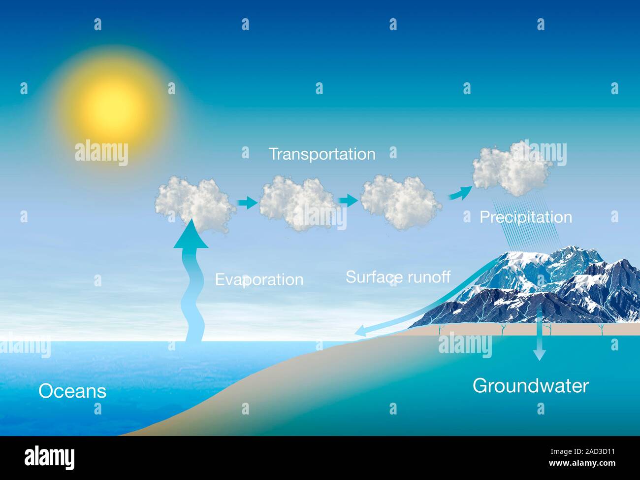 Water cycle, computer illustration. The natural water cycle (or ...
