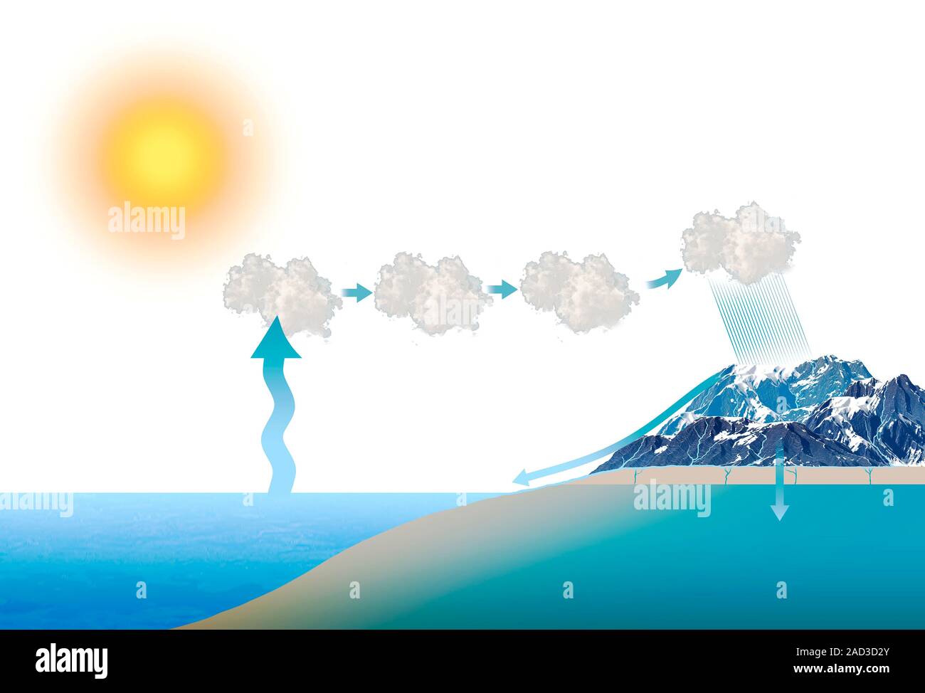 Water cycle, computer illustration. The natural water cycle (or ...