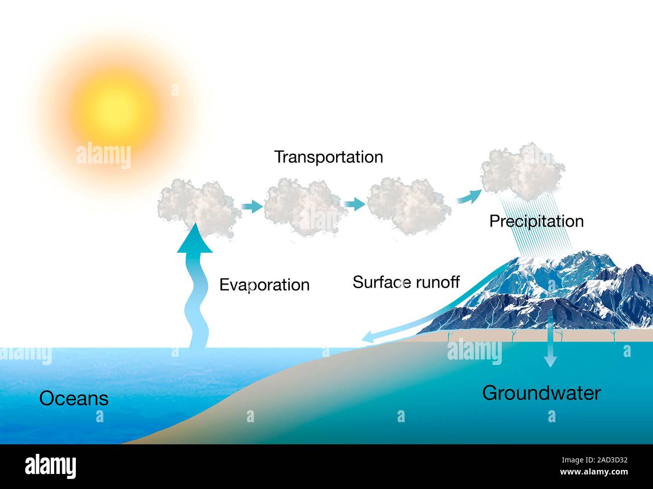 Water cycle, computer illustration. The natural water cycle (or ...