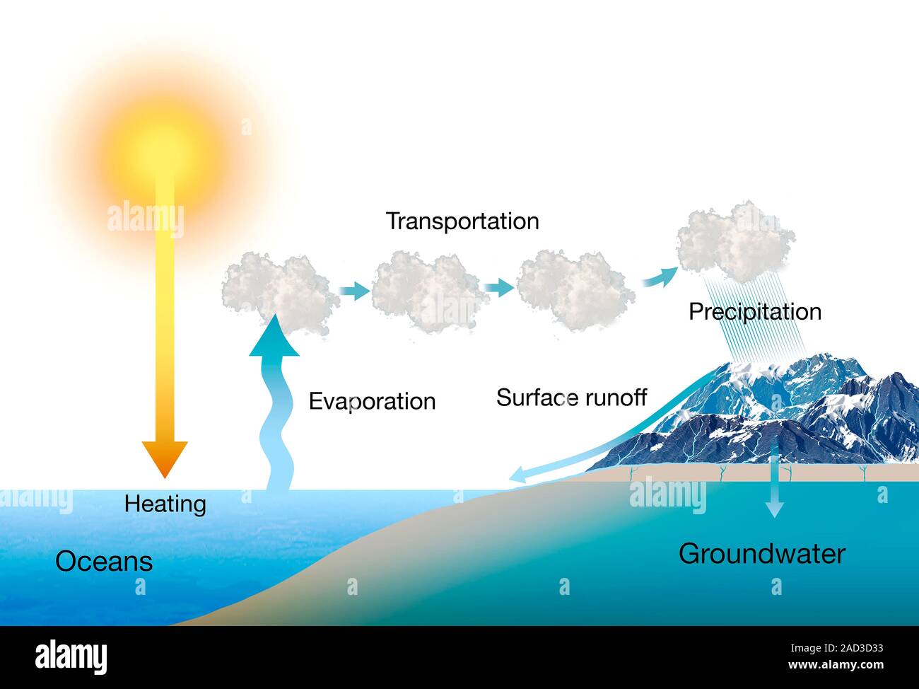 Water cycle, computer illustration. The natural water cycle (or ...