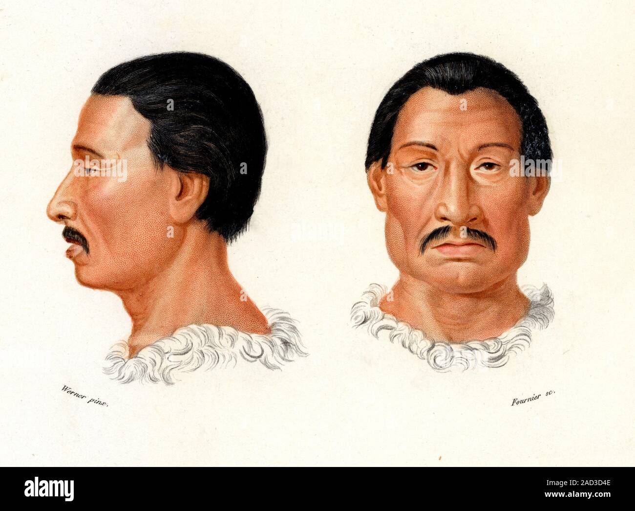 Charrua man. 1868 Century illustration of the head of an Charrua man ...