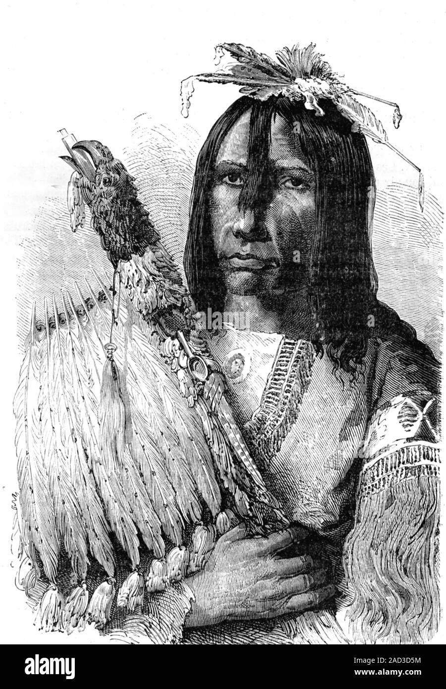 Muscogee chief. 1865 illustration of a chief of the Muscogee (or Creek ...