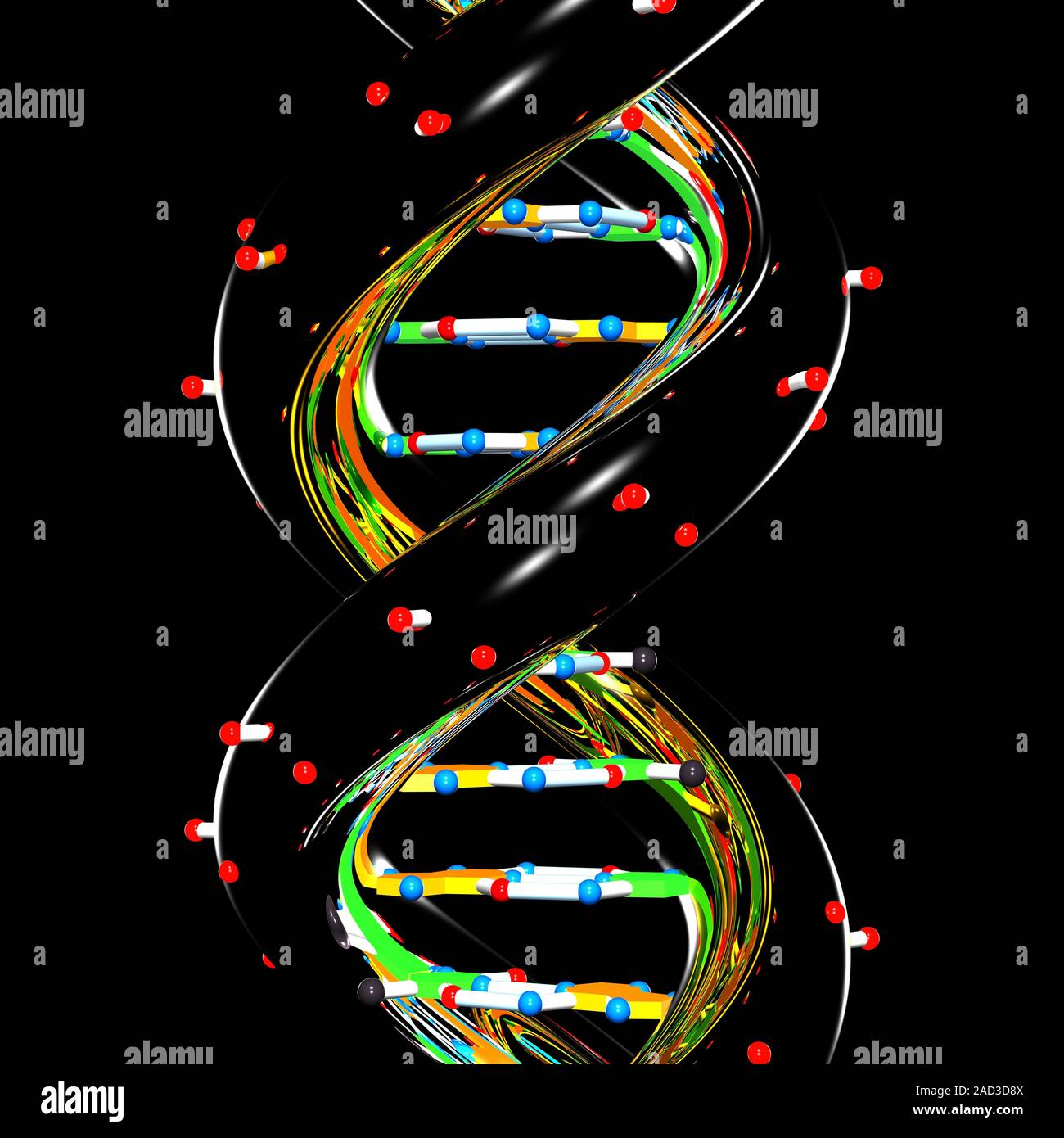 This image may not be used in educational posters DNA molecule ...