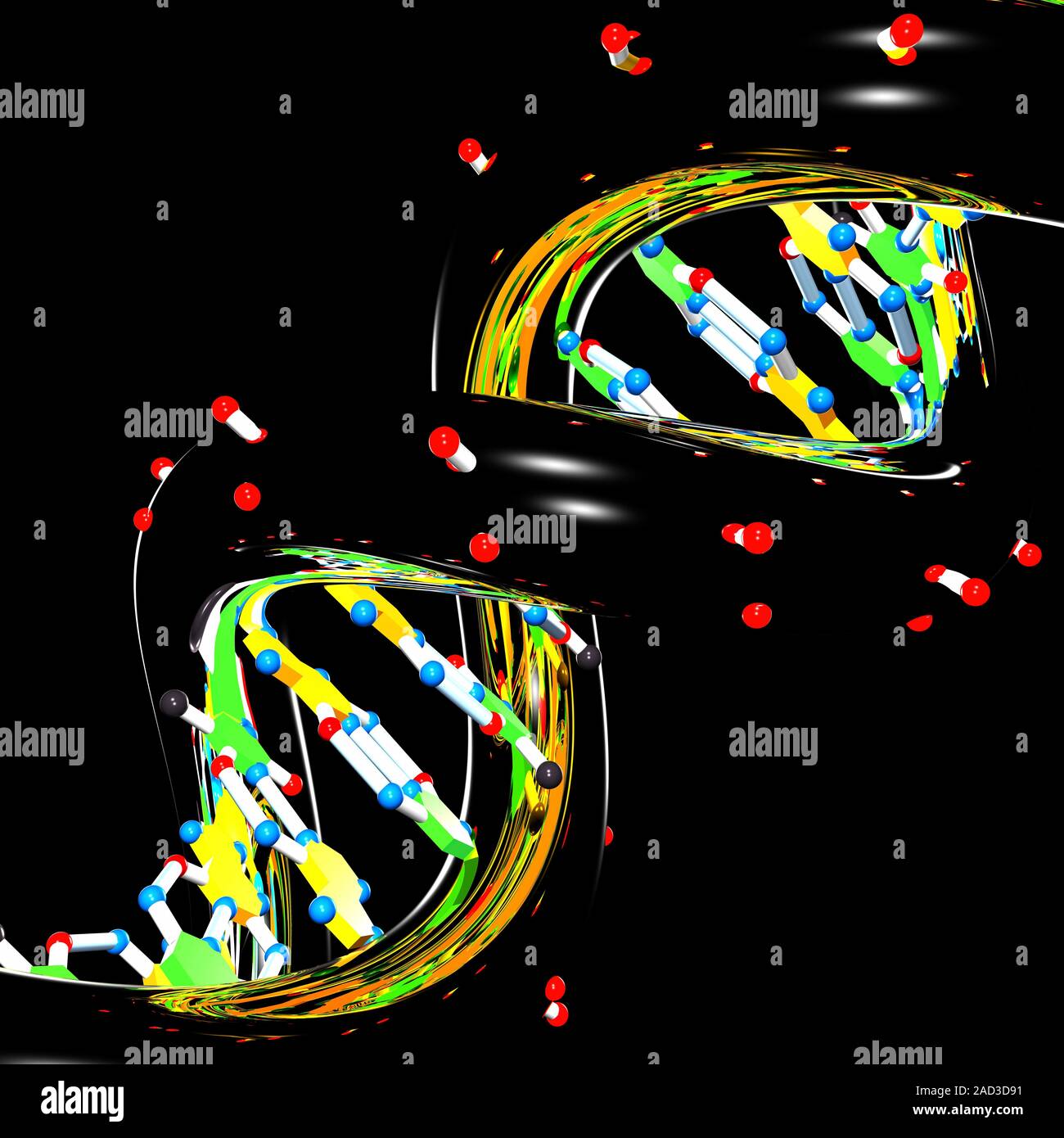 This image may not be used in educational posters DNA molecule ...