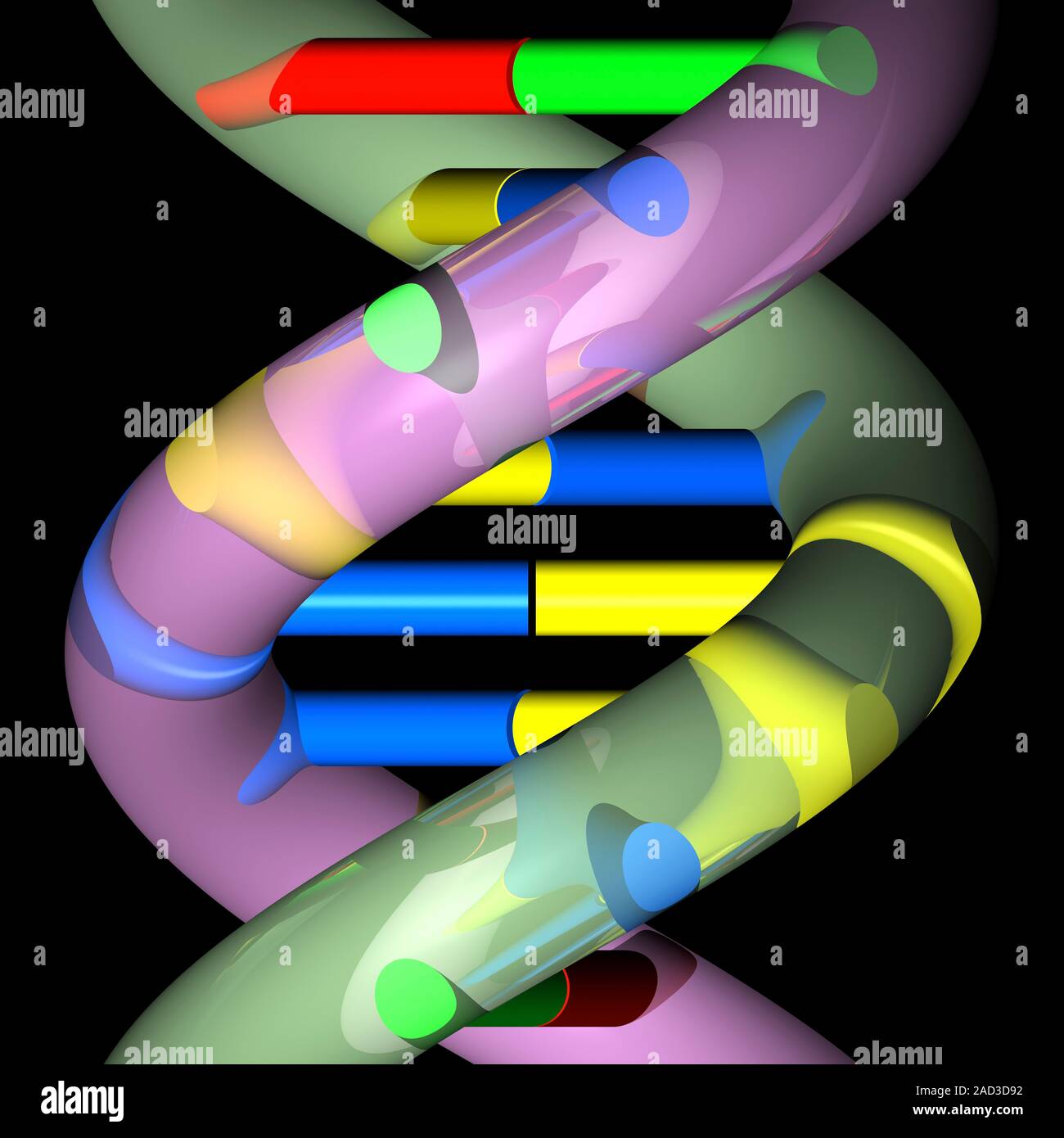 This image may not be used in educational posters DNA molecule ...