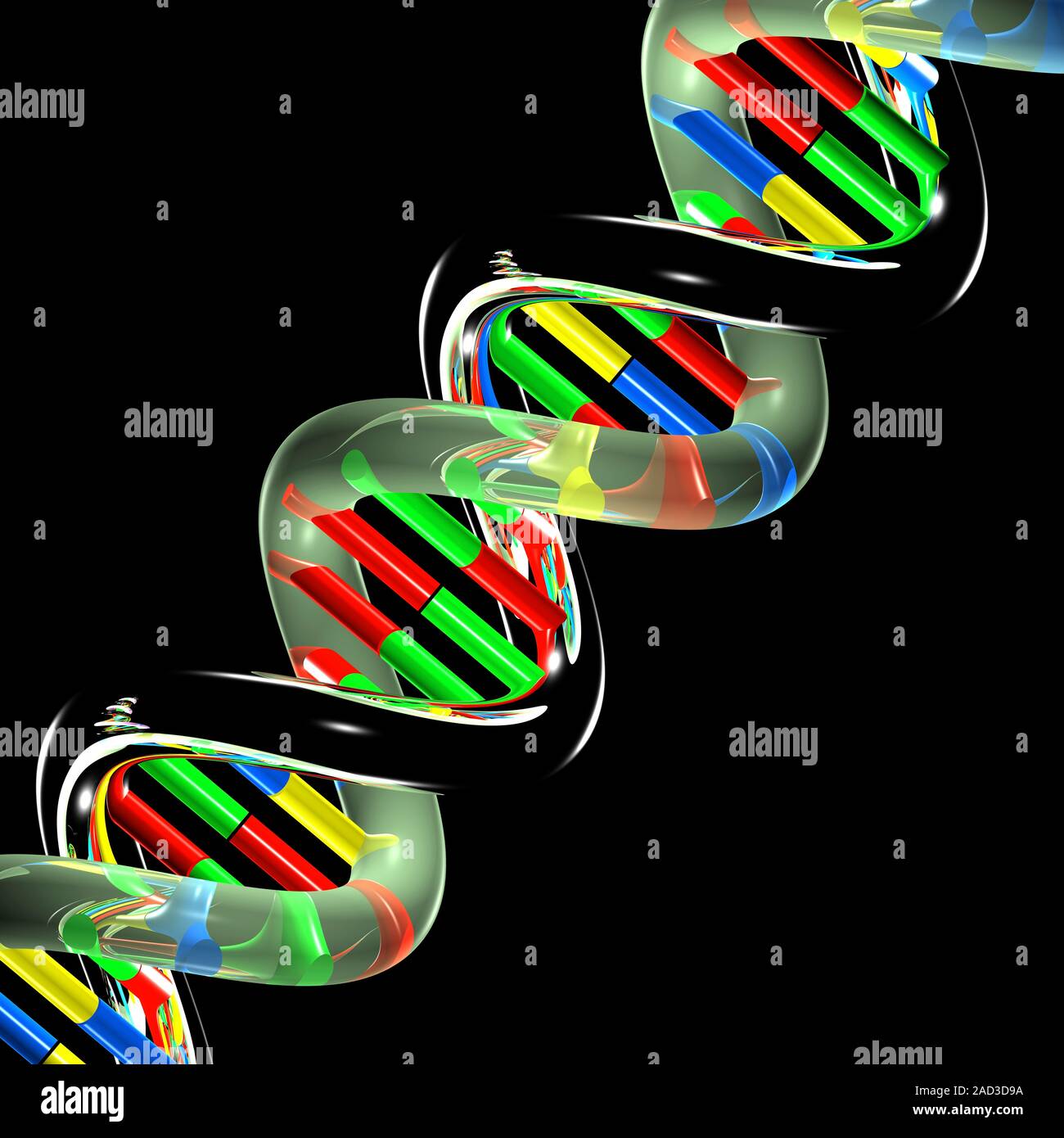 This image may not be used in educational posters DNA molecule ...