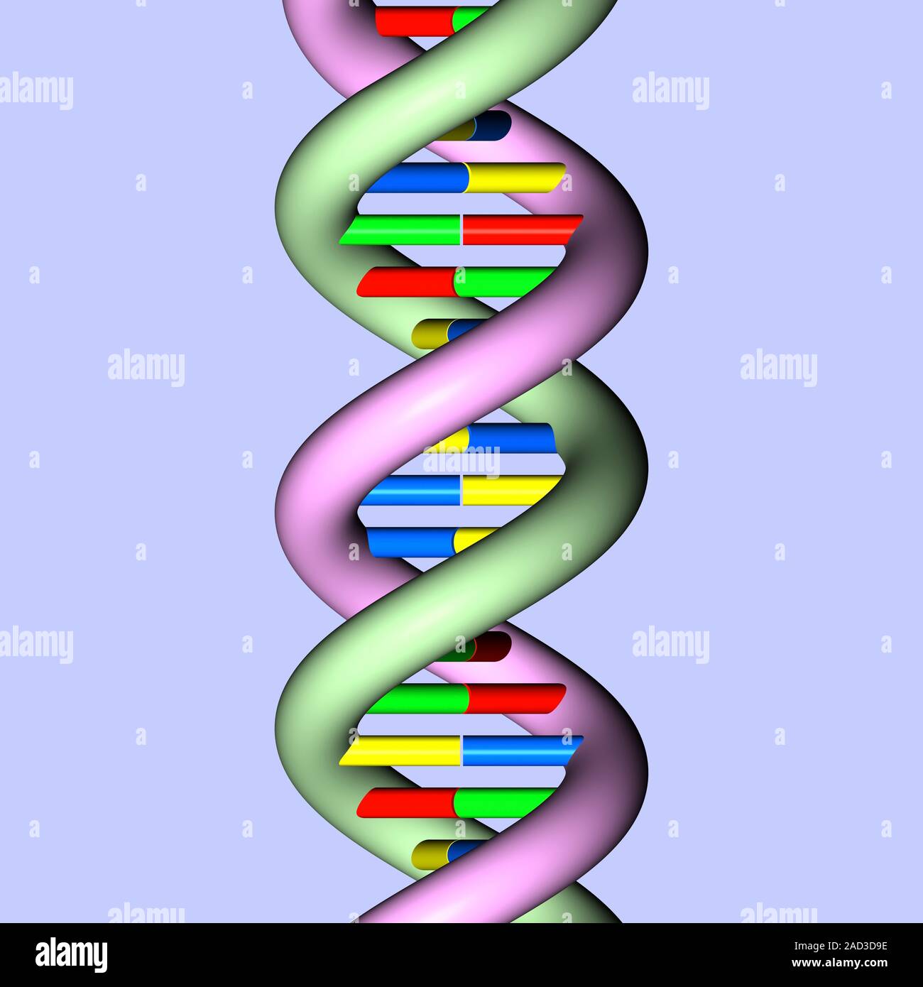 This image may not be used in educational posters DNA molecule ...