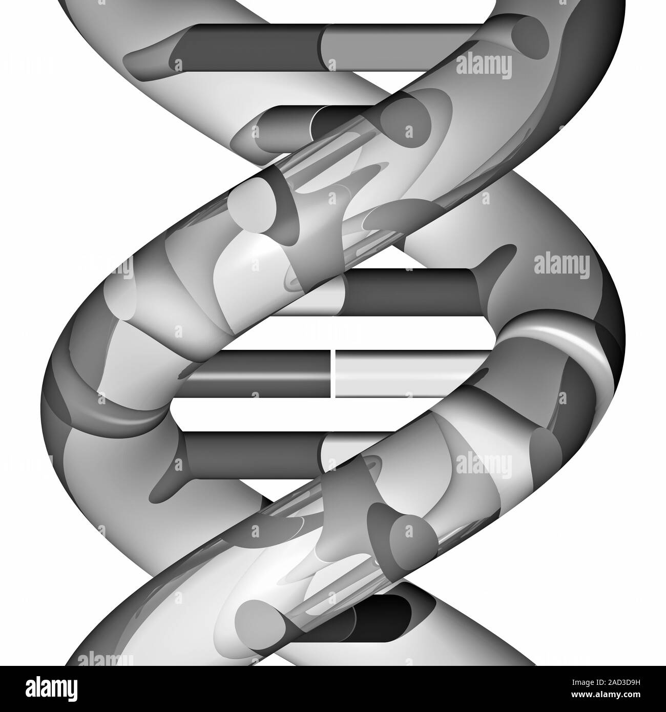 This image may not be used in educational posters DNA molecule ...