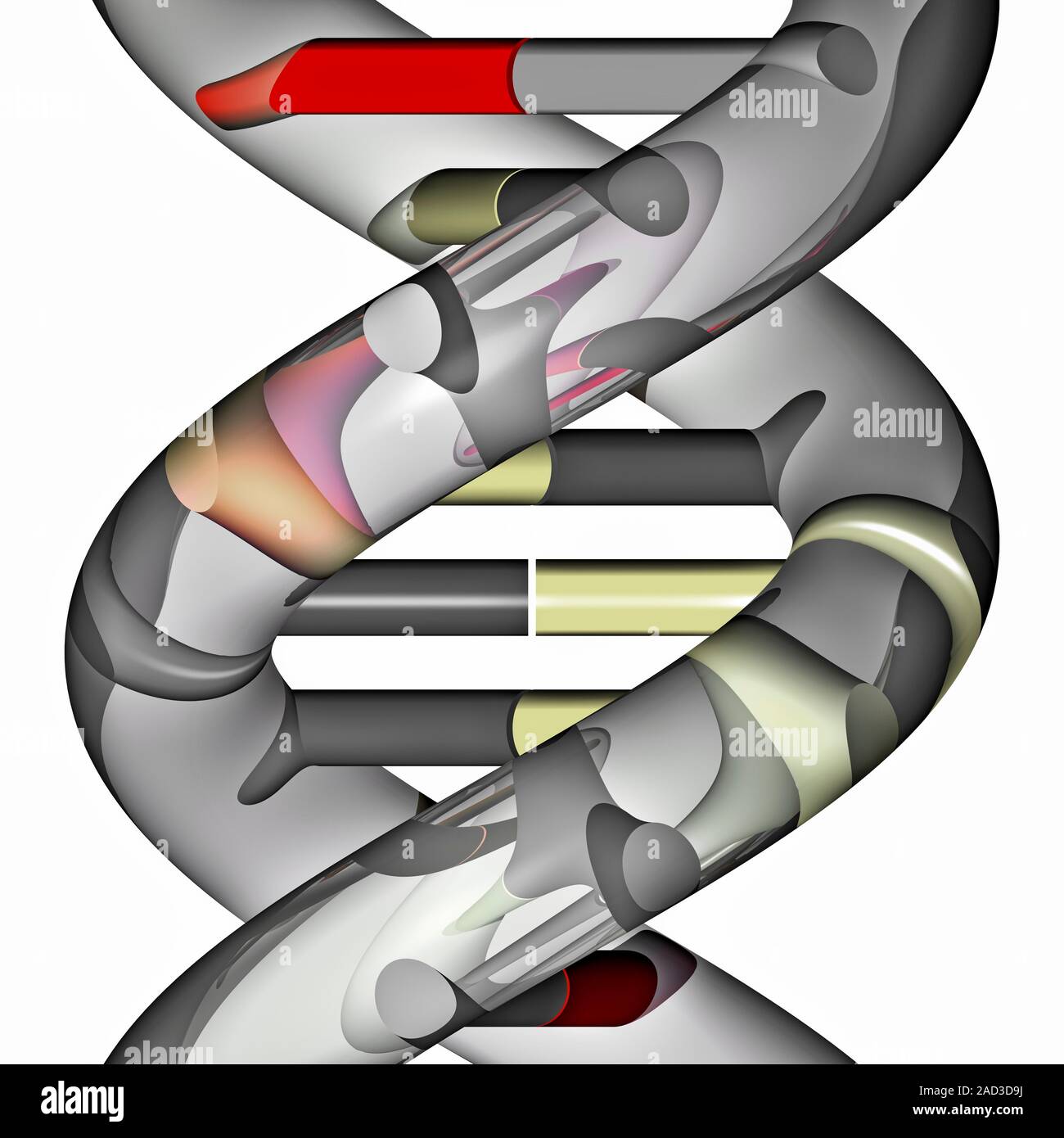 This image may not be used in educational posters DNA molecule ...