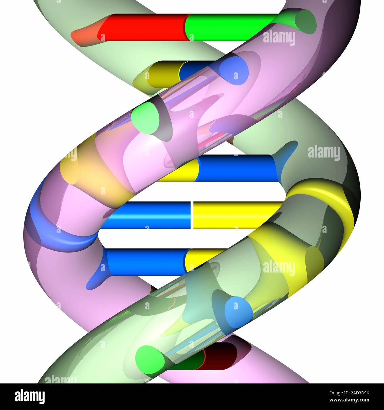 This image may not be used in educational posters DNA molecule ...