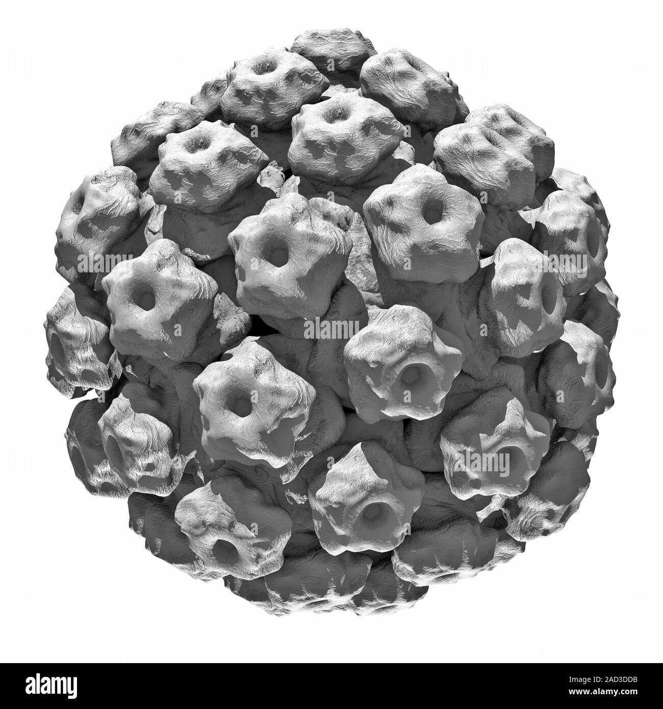 This image may not be used in educational posters Human papilloma virus ...