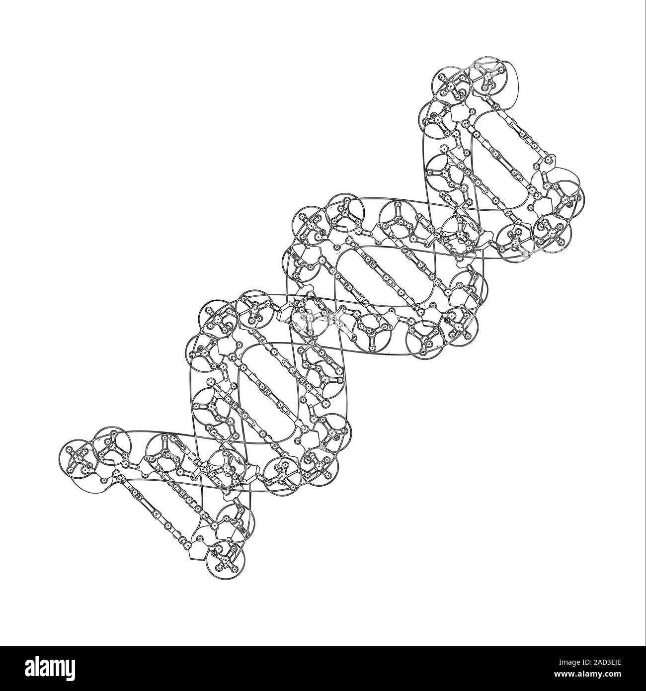 This image may not be used in educational posters DNA molecule ...