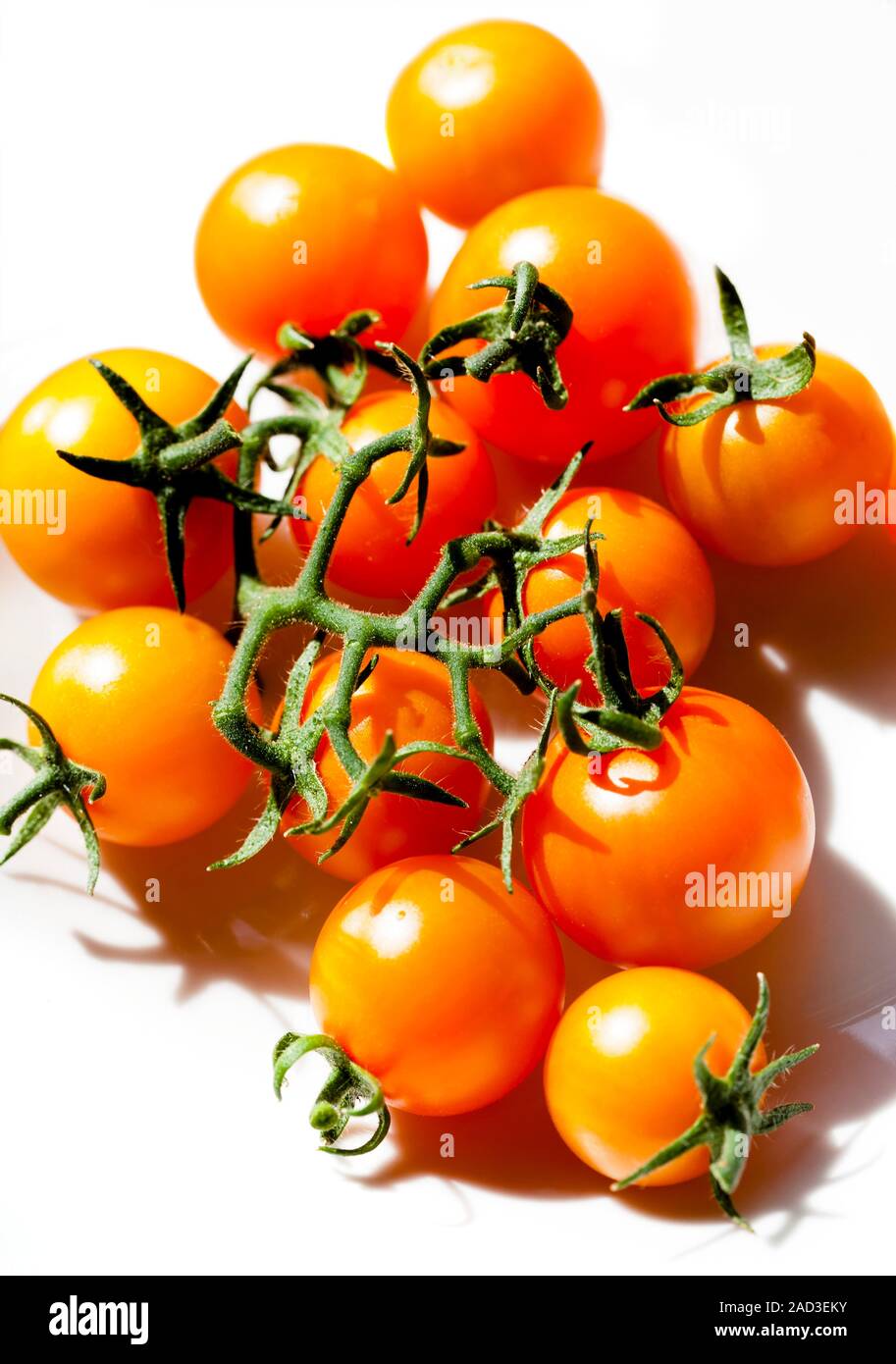 Cherry tomatoes (Solanum lycopersicum 'Orange Paruche'), overhead view on plate. This is a sweet ...